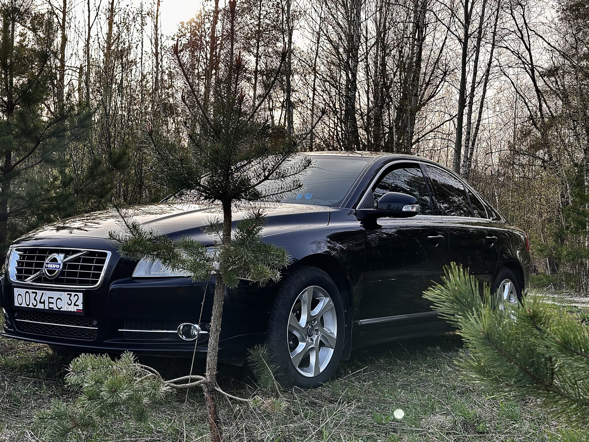 О насущном. Замена пробки на рейке. СБ SKF. — Volvo S80 (2G), 2,5 л ...