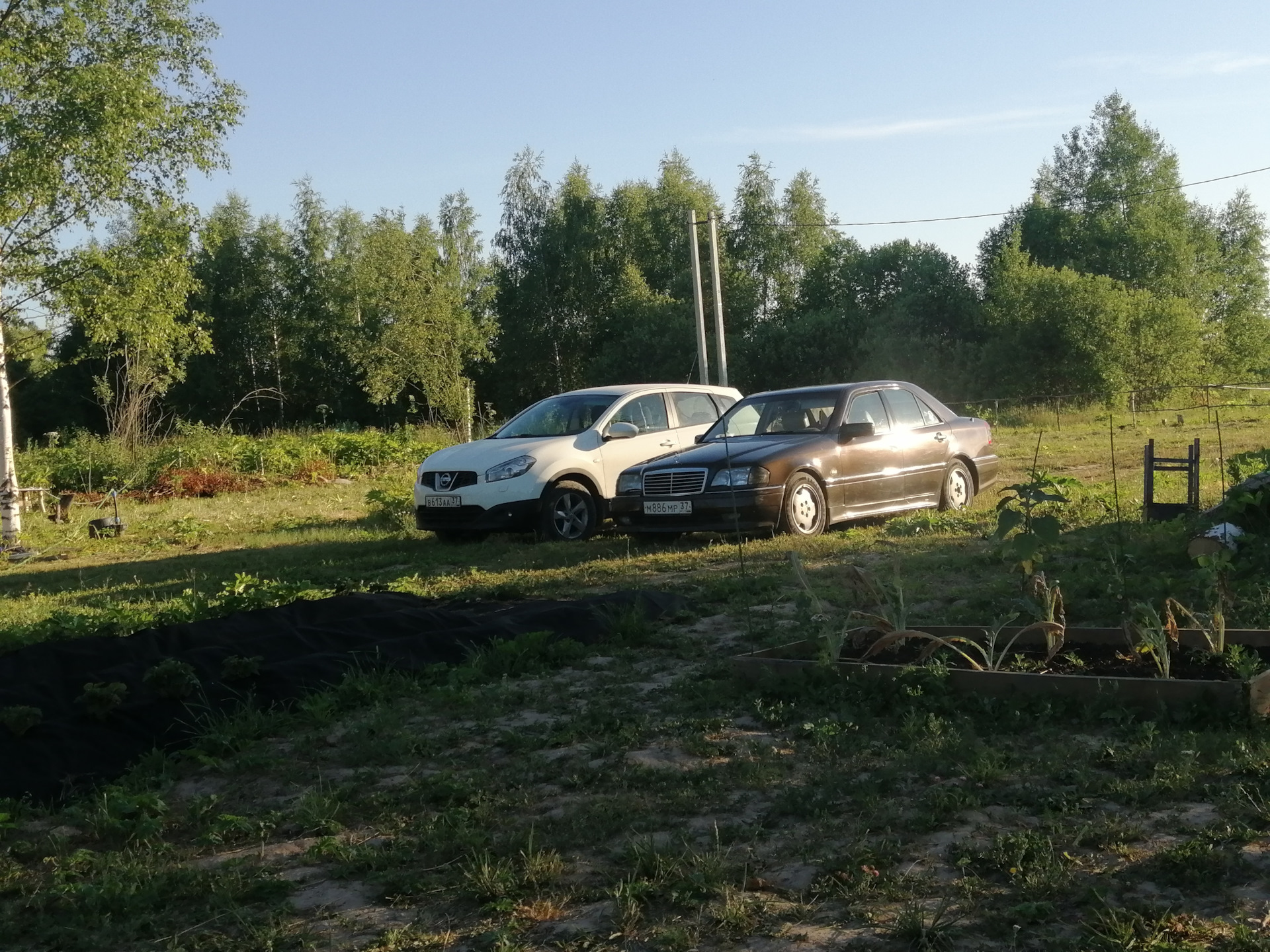 Живучие таки они старые автомобили — Mercedes-Benz C-Class (W202), 2 л ...