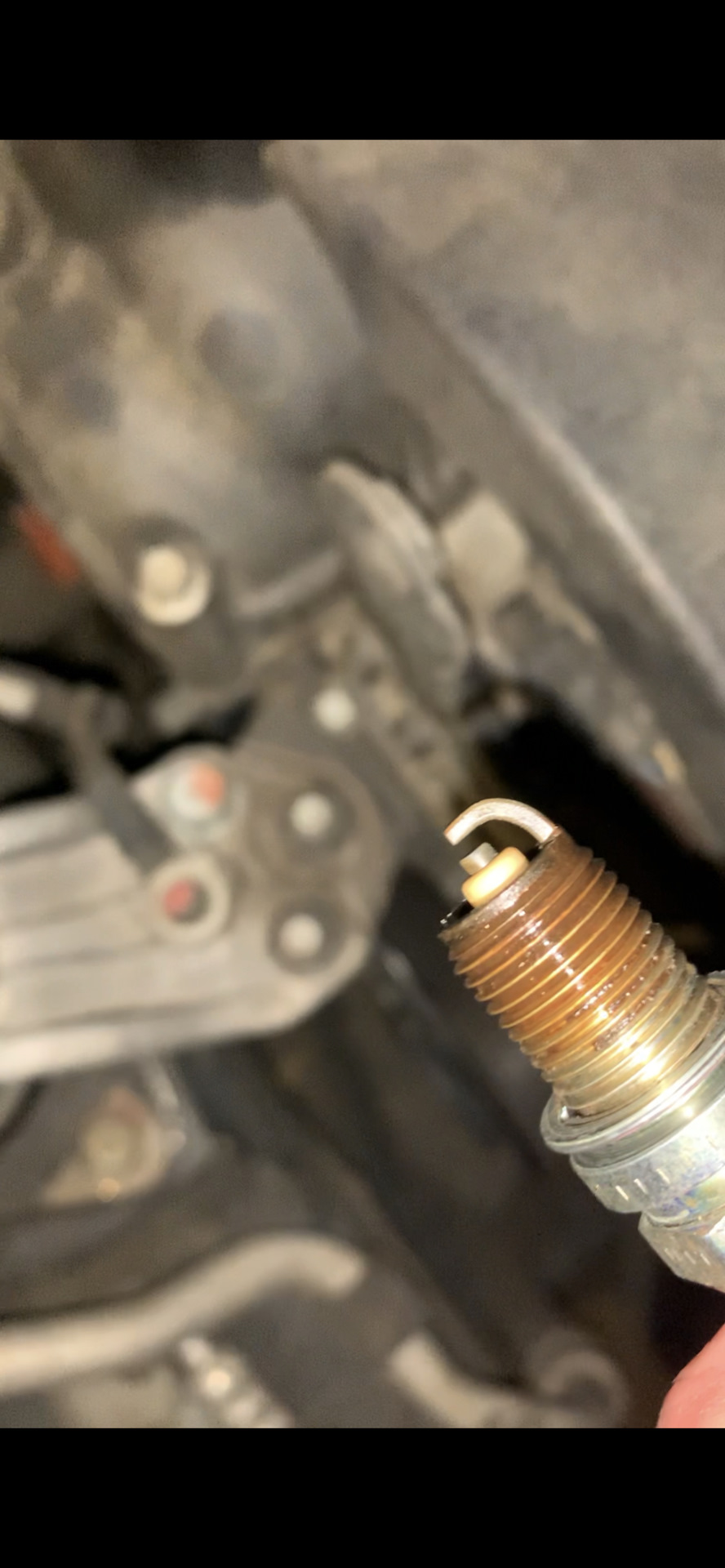 Внутренний трипойд, катушка и т.д. — KIA Pro_Ceed (1G), 1,6 л, 2008 ...