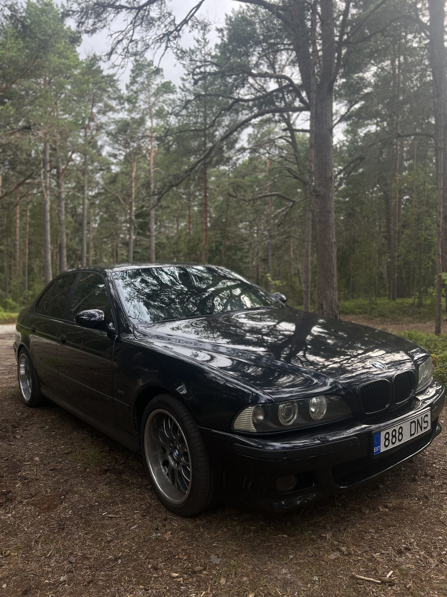 Rondell vs Style 66 — BMW 5 series (E39), 3 л, 2003 года | колёсные ...