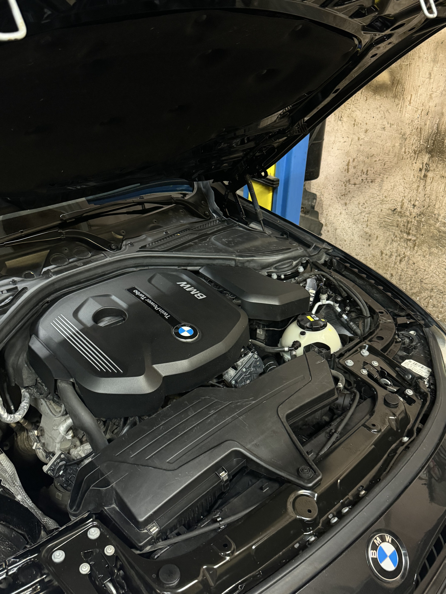 Мойка подкапотного пространства + локальная химчистка салона — BMW 3 ...