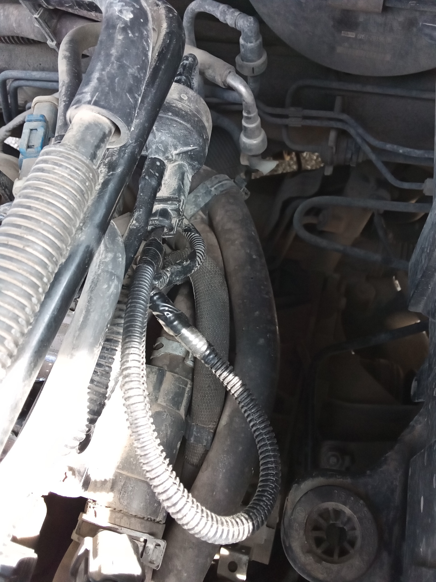 Замена клапана адсорбера — Ford Focus Hatchback II, 1,8 л, 2010 года ...