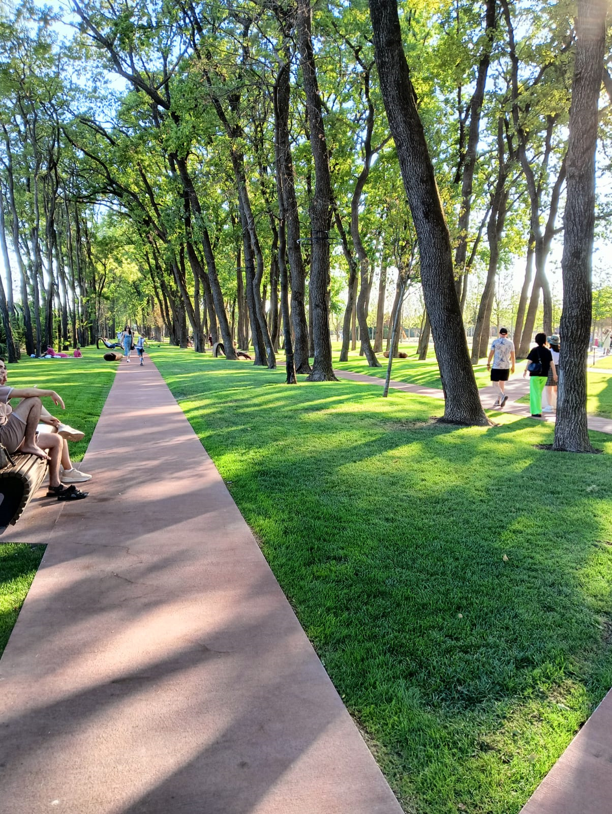 Первая поездка в Краснодар — GAC GS3, 1,5 л, 2024 года | покатушки | DRIVE2