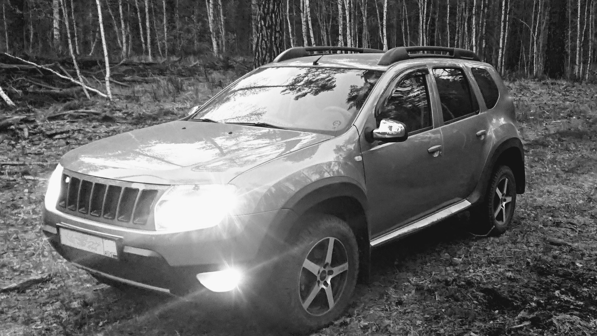 Renault Duster (1G) 2.0 бензиновый 2012 | "Viking" на DRIVE2