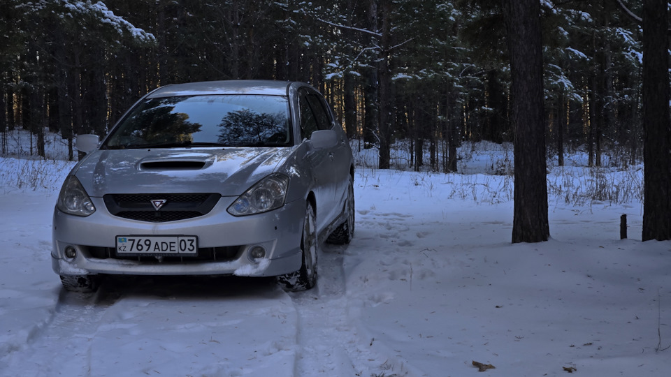 В поисках пружин 246 — Toyota Caldina (241), 2 л, 2002 года | запчасти | DRIVE2