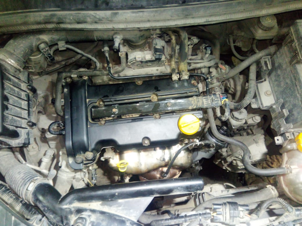 Замена масла и прокладок корпуса масляного фильтра, клапанной крышки ...