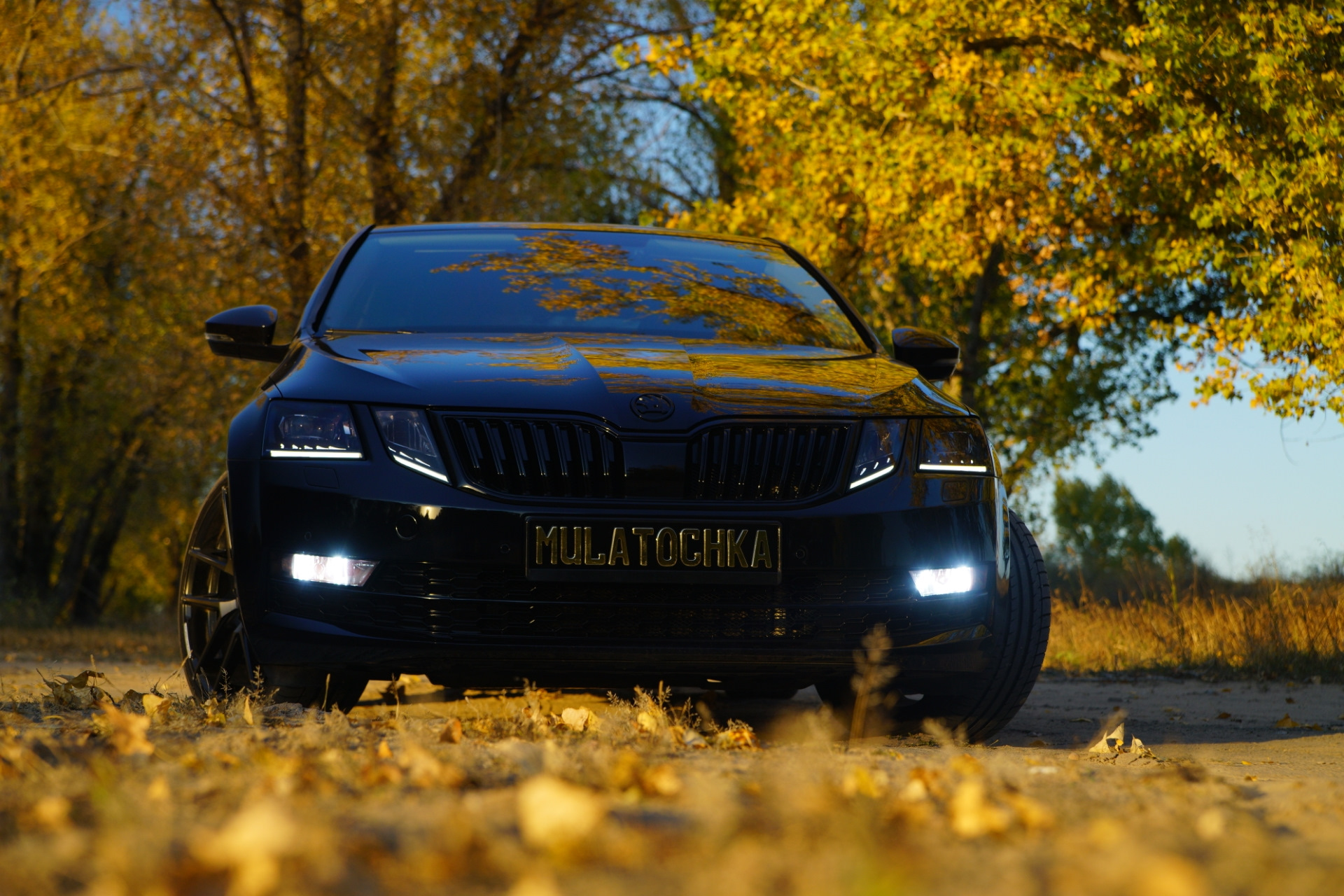 Скоро! финальный штрих образа (тизер) — Skoda Octavia A7 Mk3, 1,8 л ...