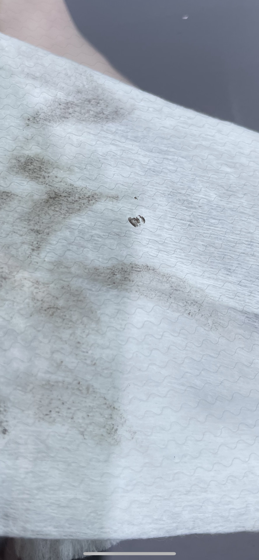 Замена лобового и выбор каско — Audi A5 Sportback (2G), 2 л, 2021 года ...