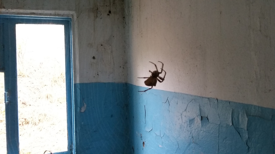 Ищу топливную трубку/Поменяюсь накладкой под бампер — Toyota Celica ...