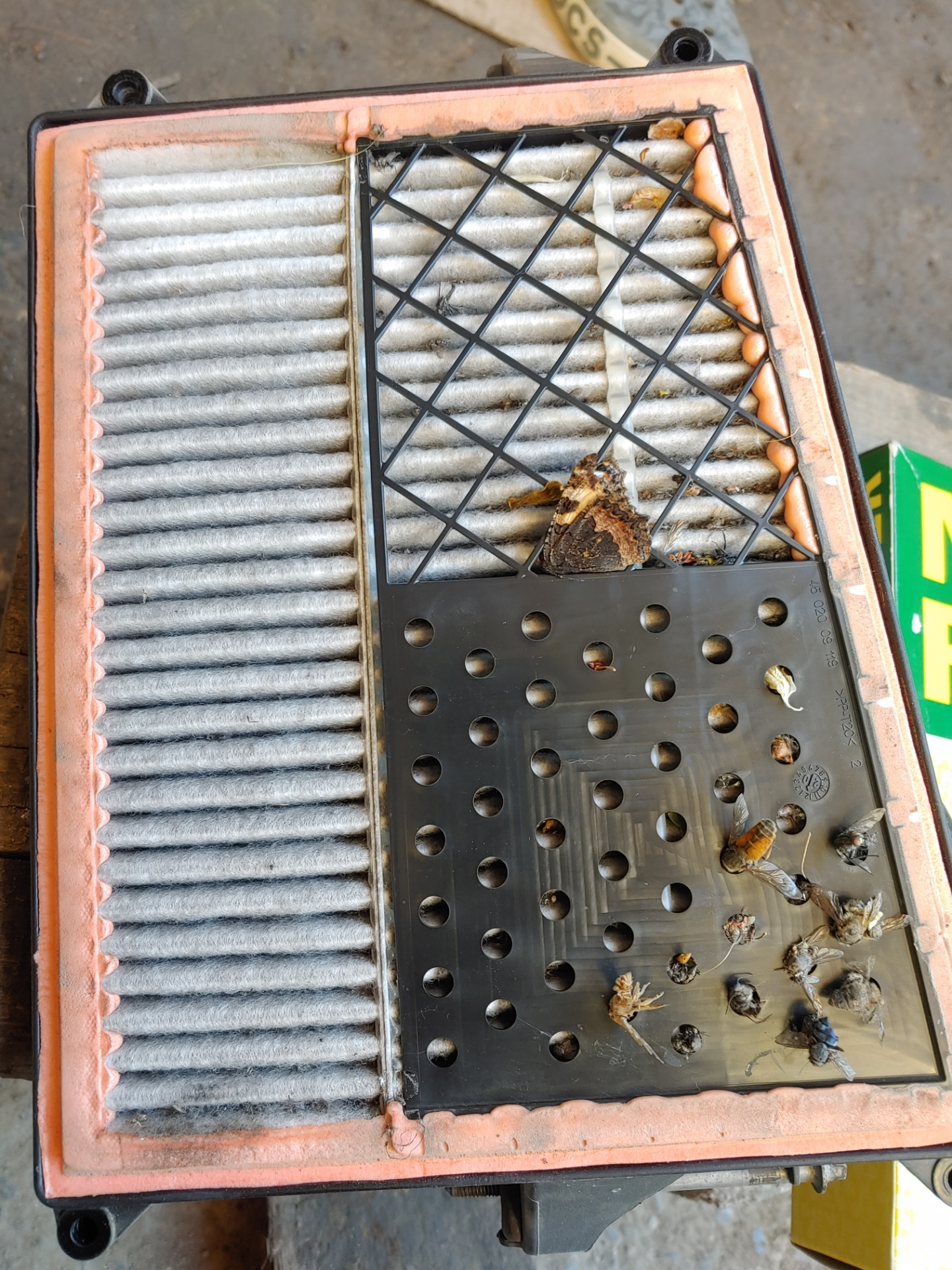 Замена масла и фильтров, отзыв о воздушных фильтрах Mann C25004 C27006 ...