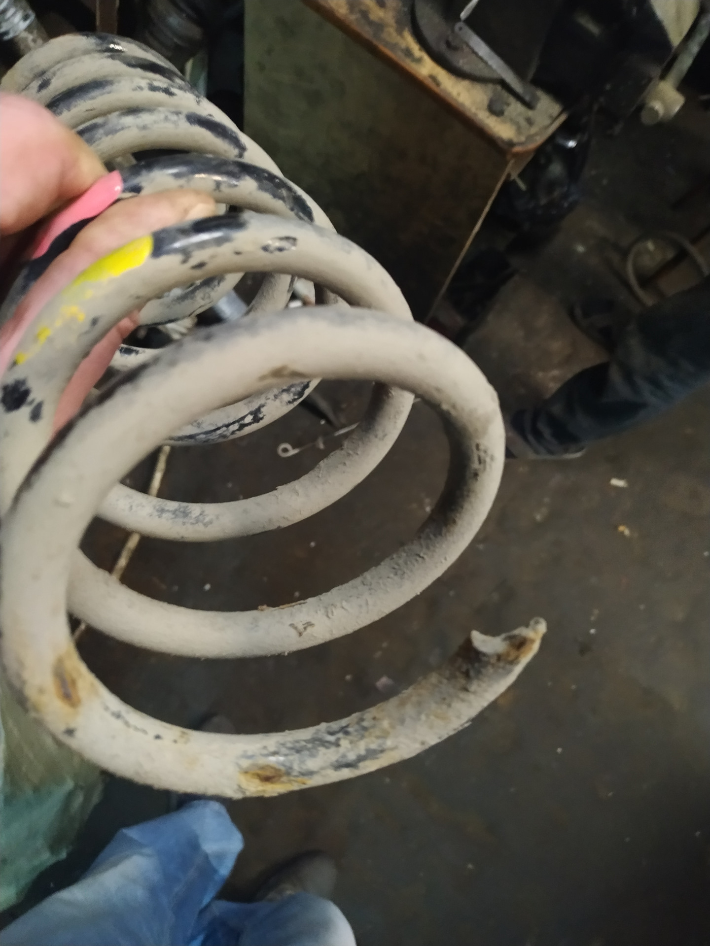 Замена задних пружин и сайлентов балки — Toyota Corolla (120), 1,6 л ...