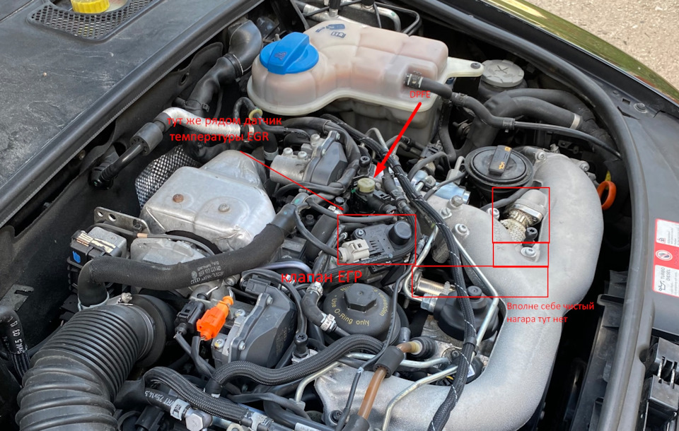 Первое ТО + EGR — Audi A6 Avant (C6), 3 л, 2009 года | плановое ТО | DRIVE2