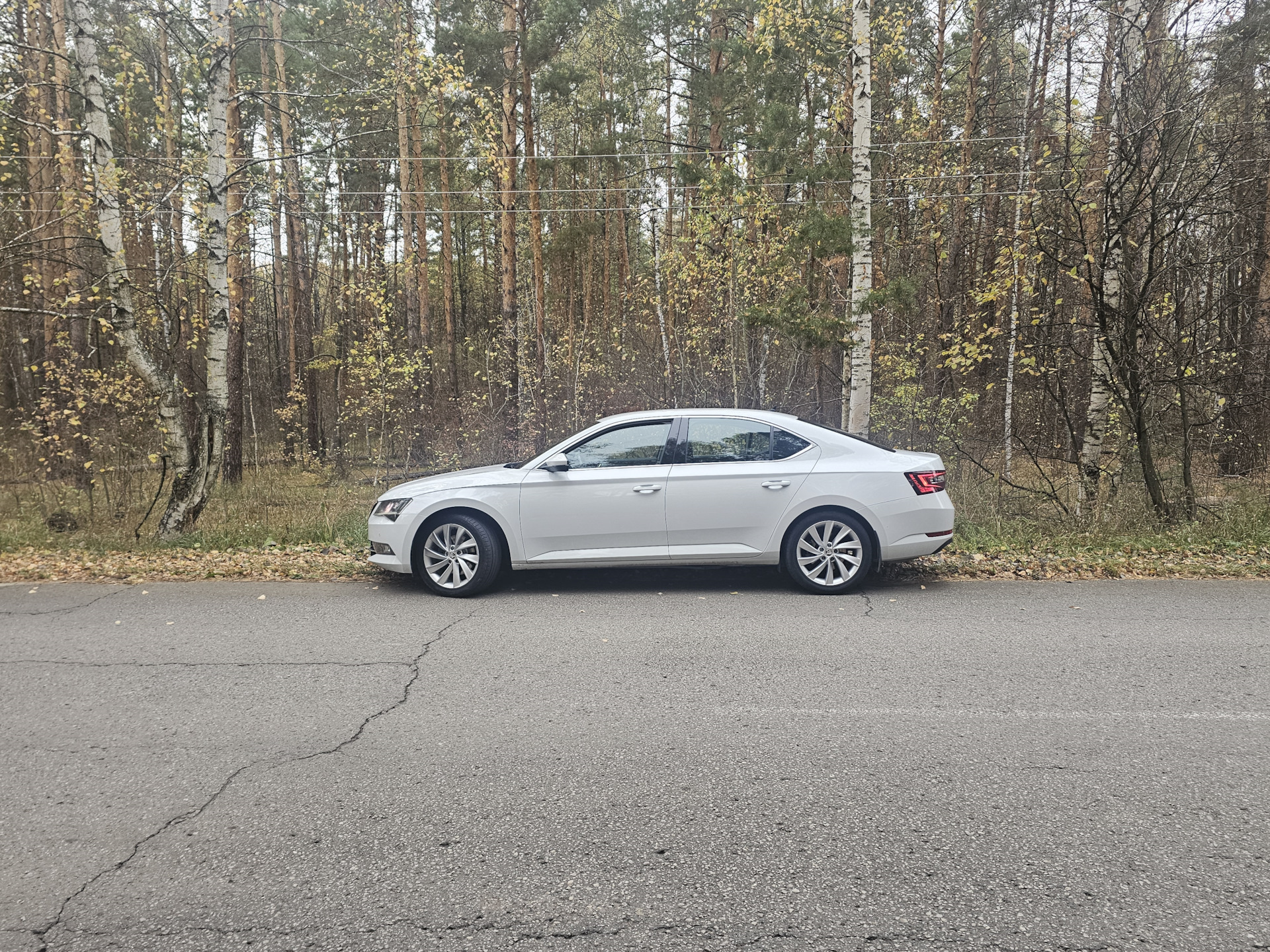 Первые впечатления и сравнение Skoda Superb с Octavia — Skoda Superb ...