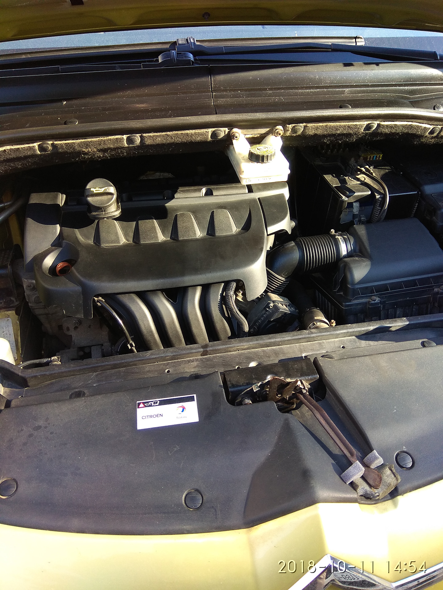 лампа ближнего света, уплотнитель на капот и фары. — Citroen C4 Picasso ...