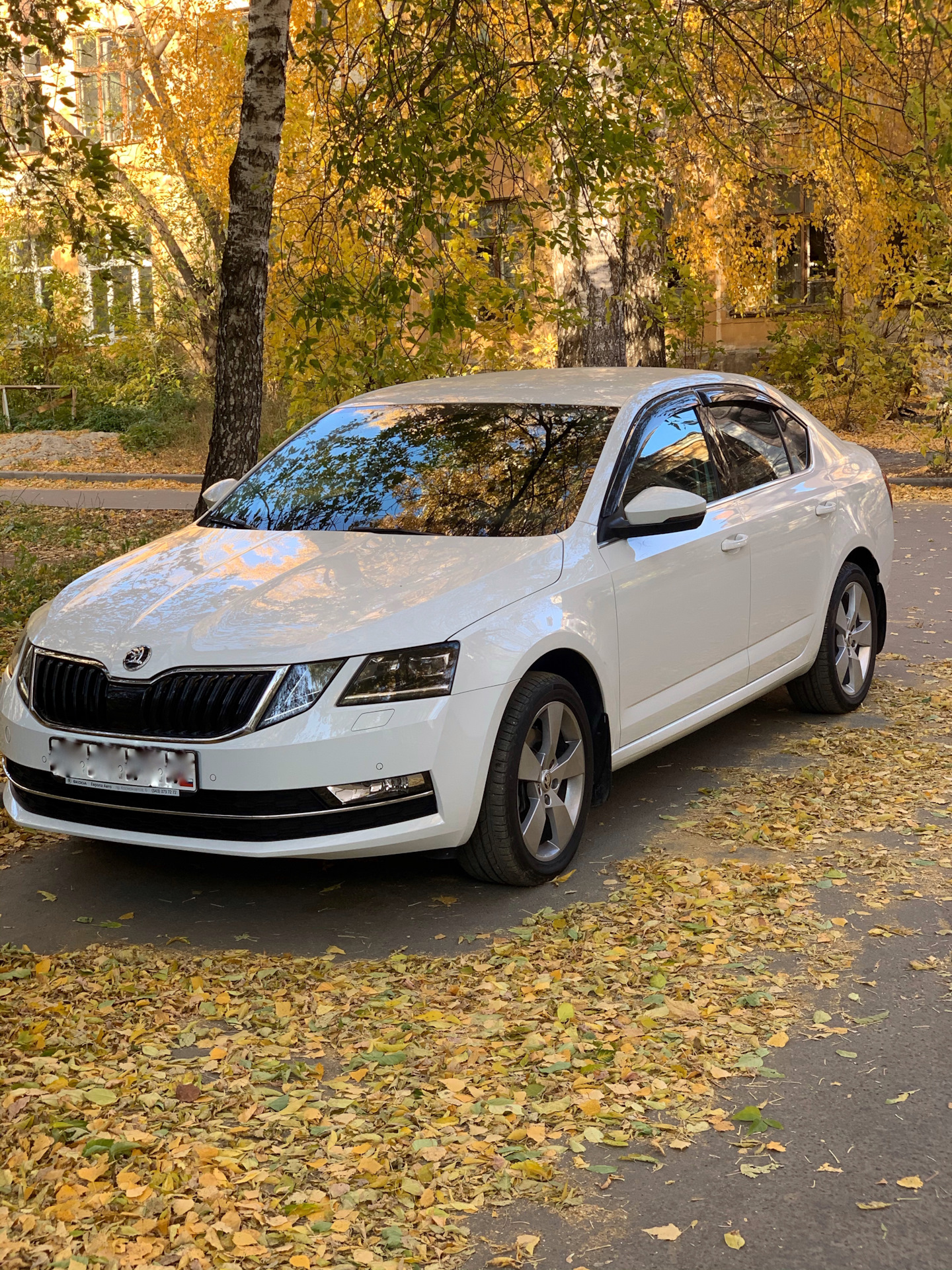 Осенняя красота — Skoda Octavia Mk3, 1,8 л, 2019 года | фотография | DRIVE2