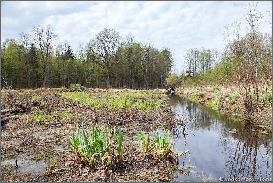[Пост 50] Маркировка лампочек Mazda 6 gg дорест (шпаргалка)😉 — Mazda 6 ...