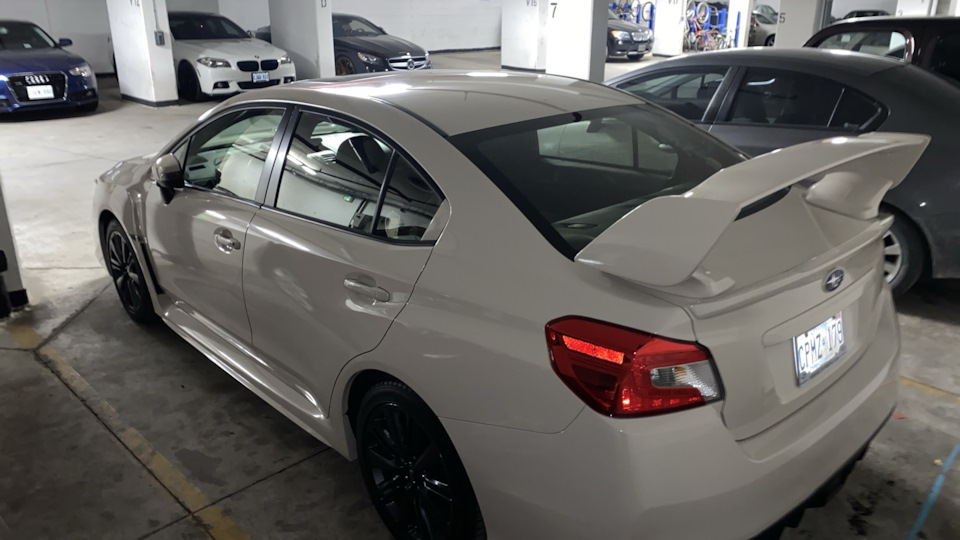 Винил VVIVID — Gloss rally beige. — Subaru WRX (VA), 2 л, 2019 года ...