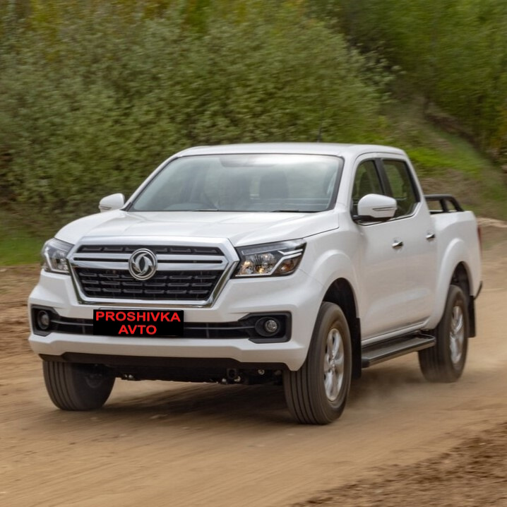 10SW0610131409V600_tyn_EGRoff_DPFoff — Proshivka-Avto на DRIVE2