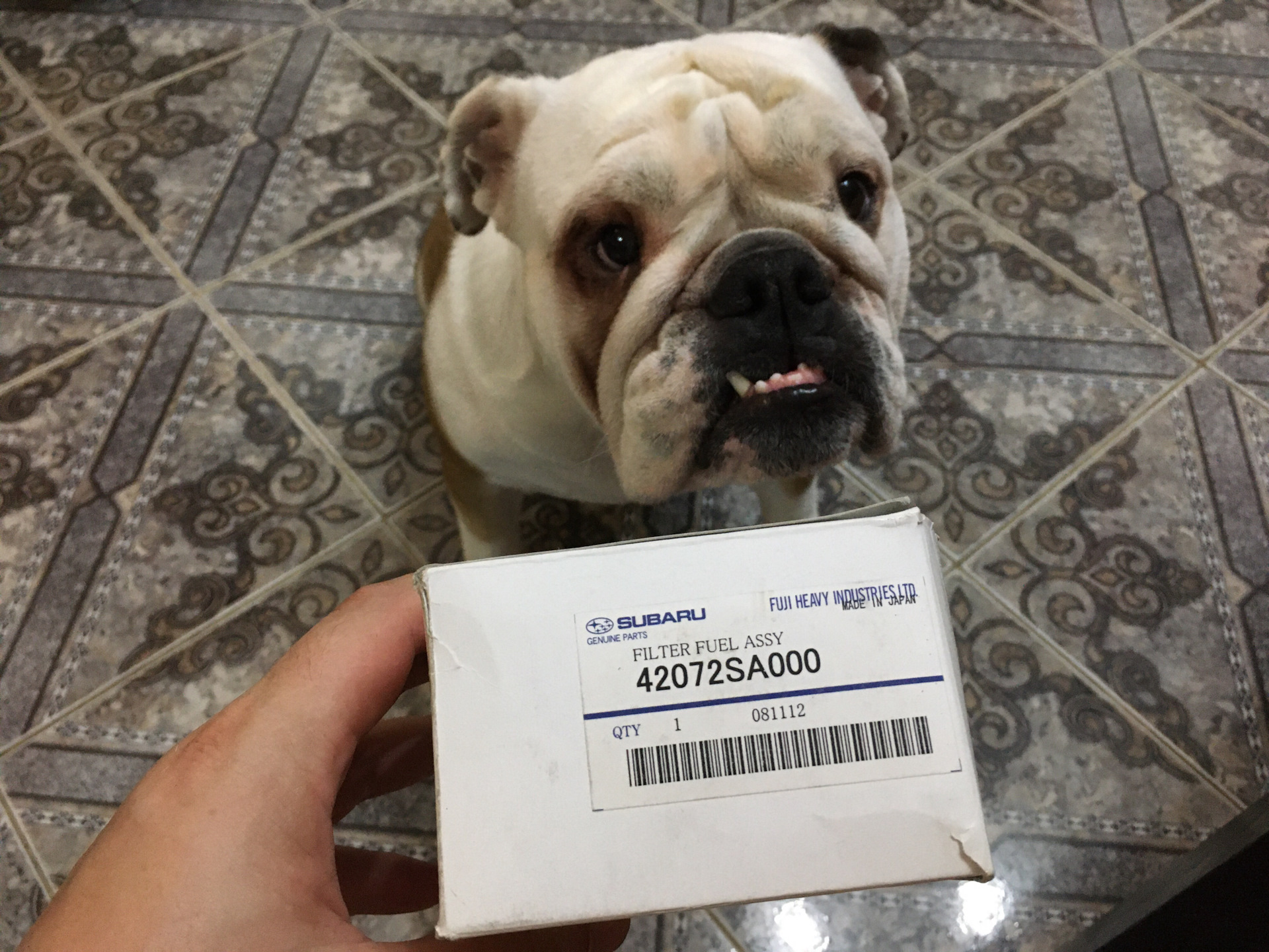 13. Замена топливного фильтра. — Subaru Forester (SG), 2 л, 2007 года ...