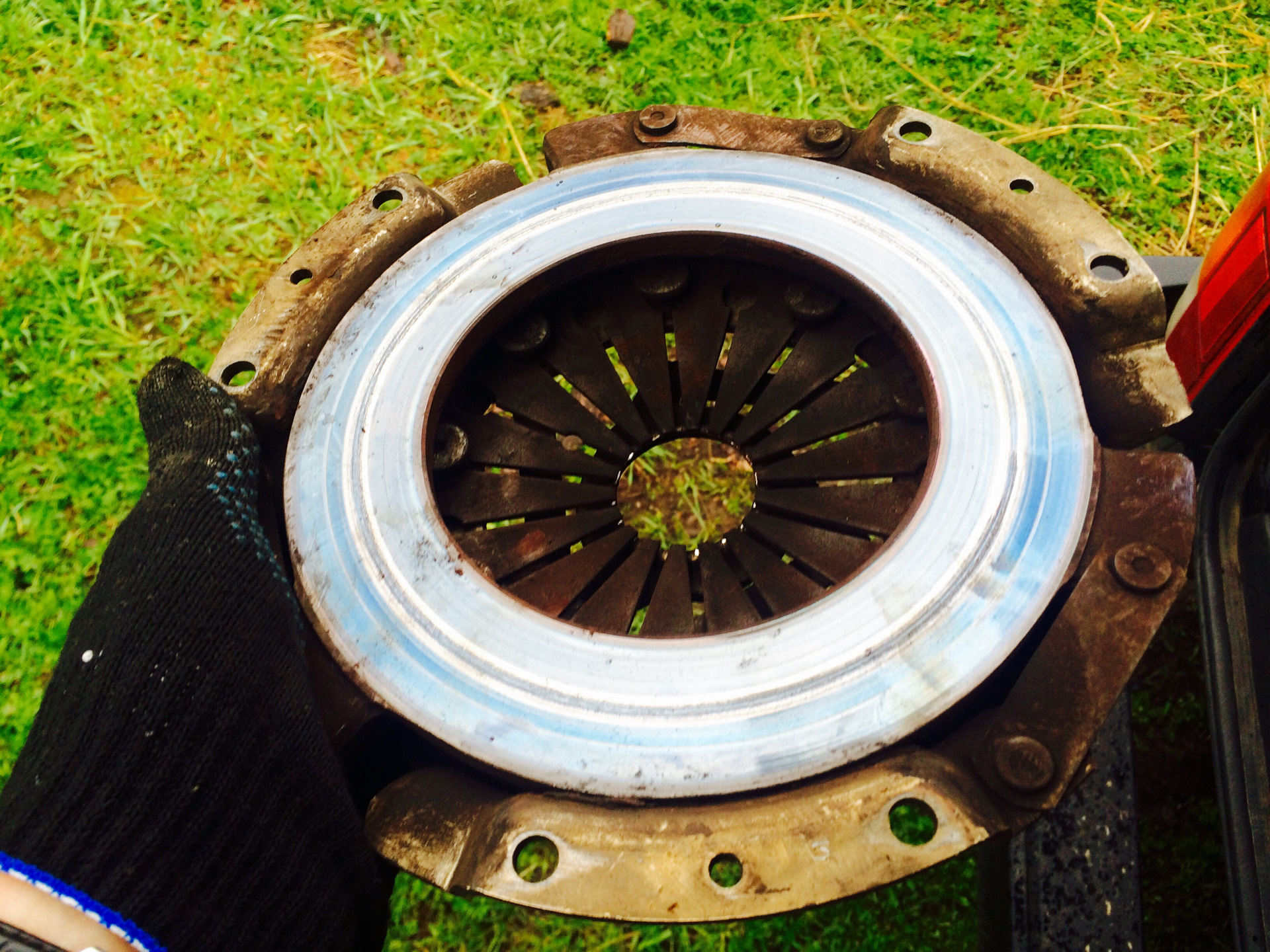 Затравочка для Витоводов:) — Mercedes-Benz Viano (W639), 2,2 л, 2004 года | запчасти | DRIVE2