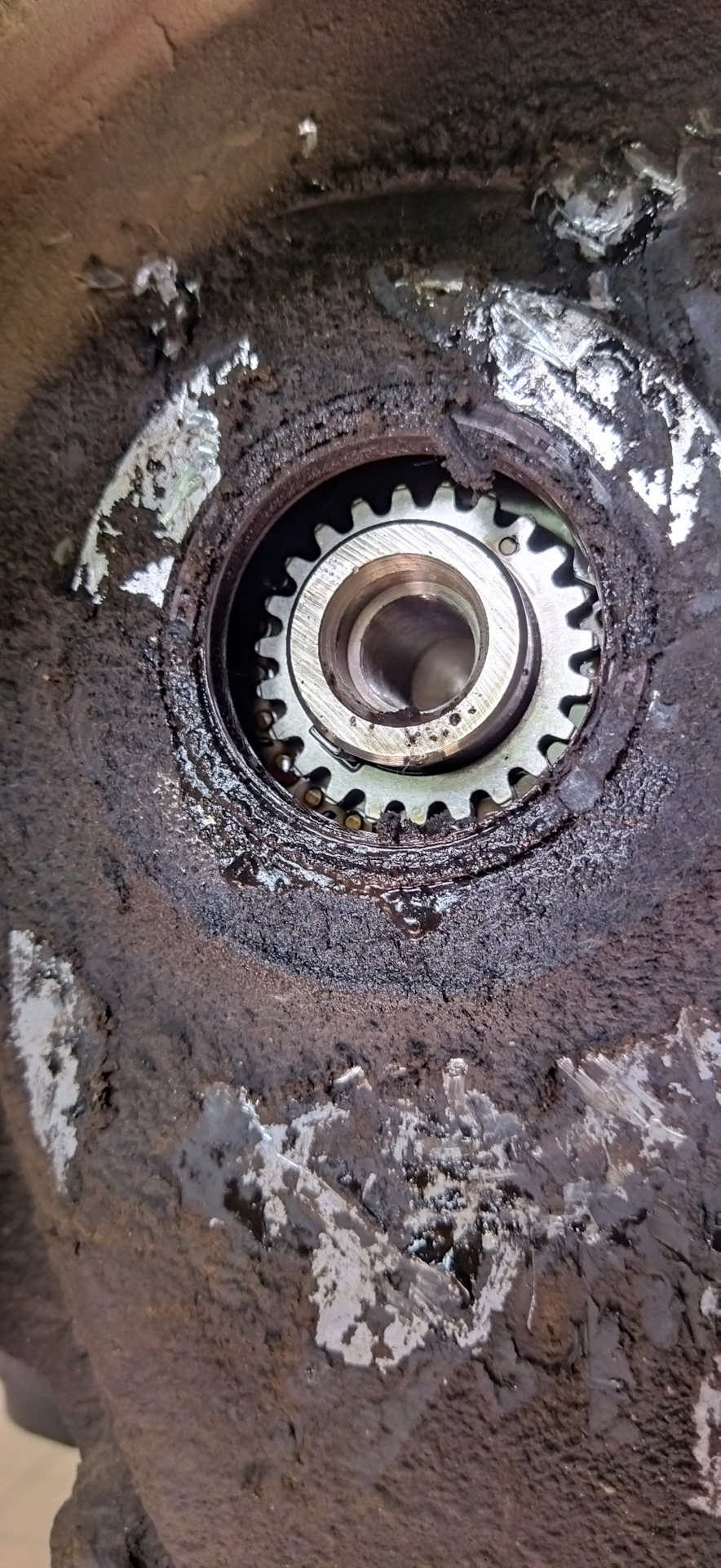 передний сальник коленвала M4R, приводной ремень 6PK1210 — Renault ...