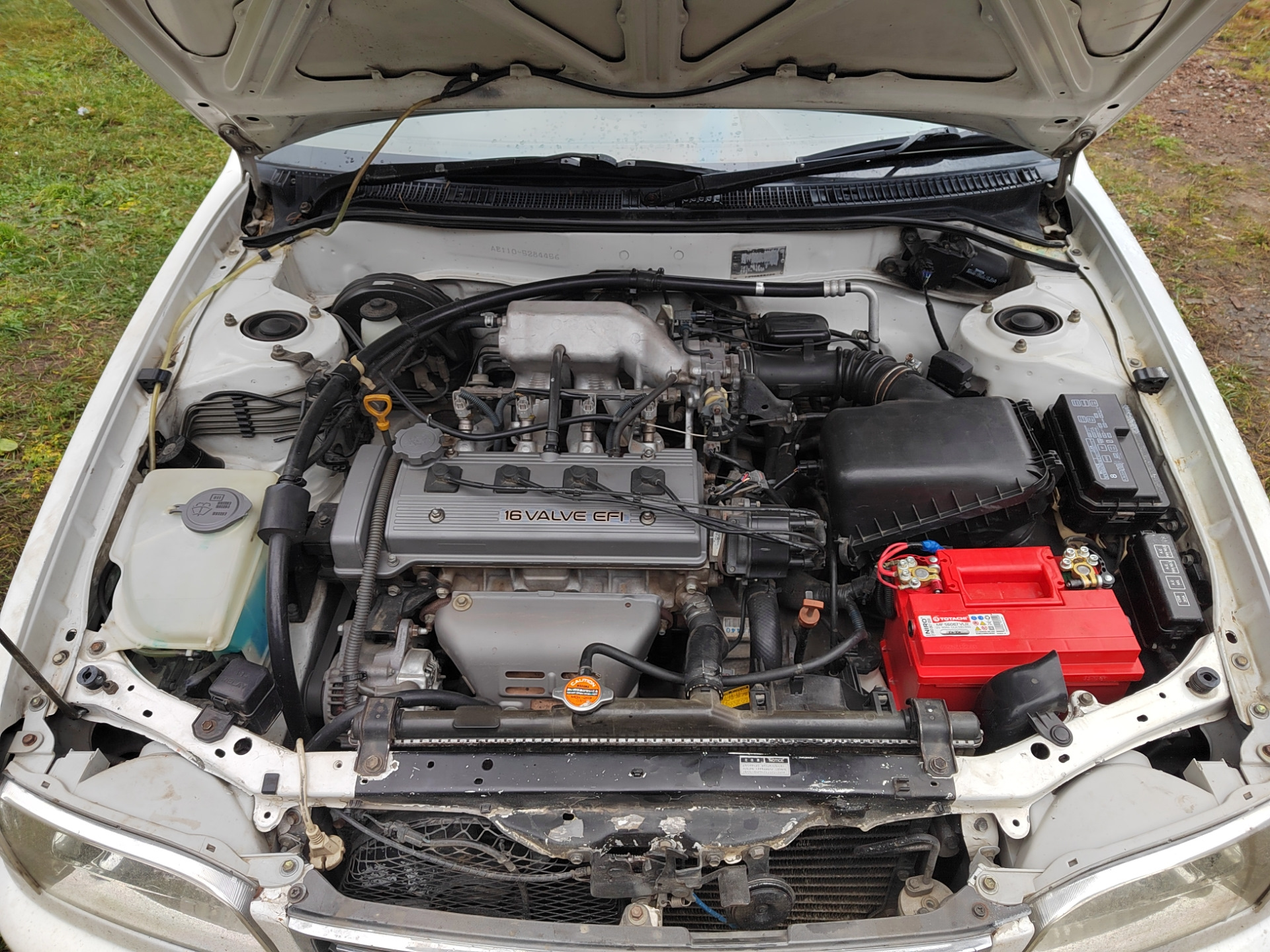 Шилдик 16 VALVE EFI, и другой вид крышки клапанов 😎 — Toyota Corolla ...