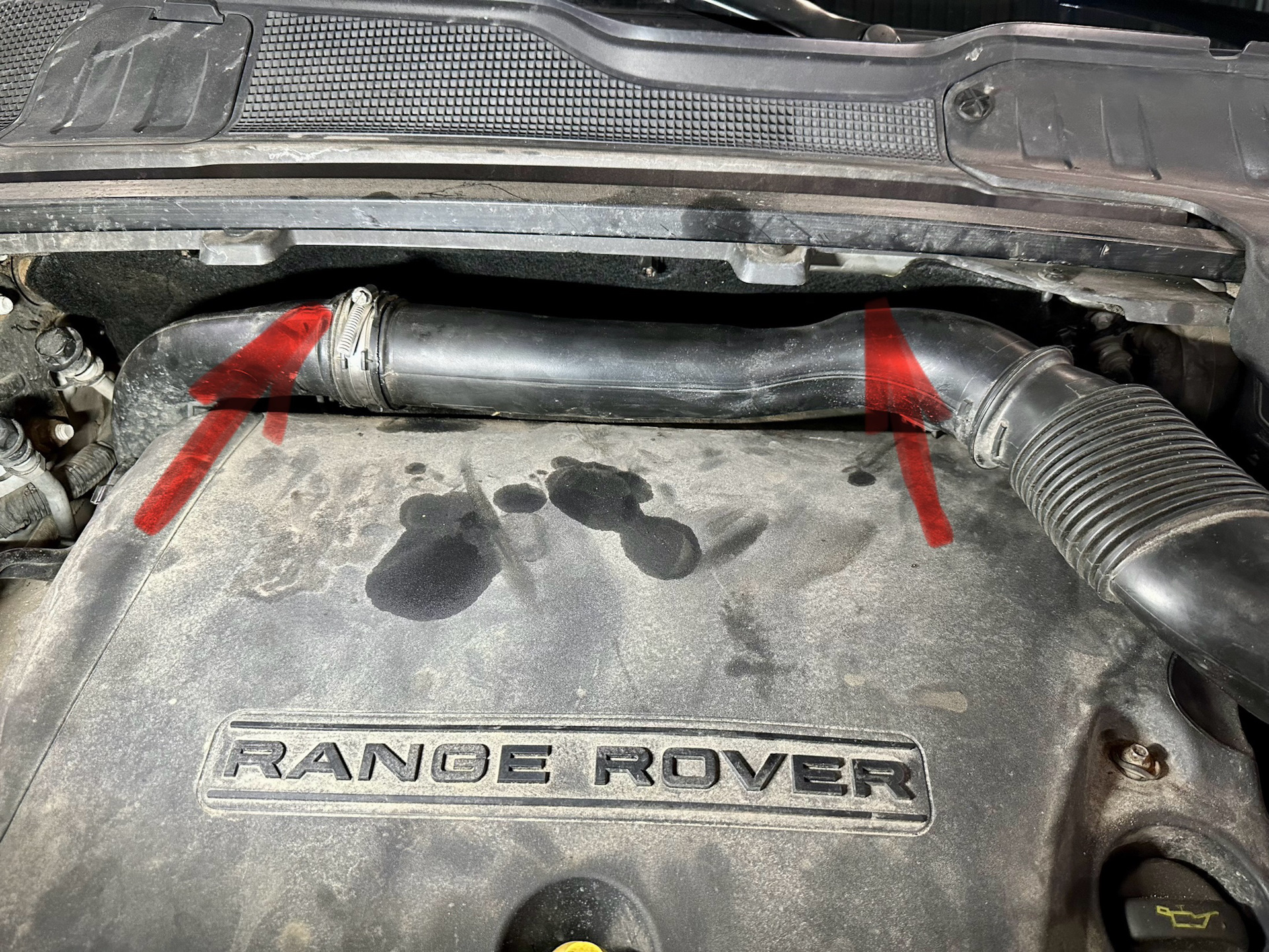 LR077451 — Land Rover Range Rover Evoque (1G), 2,2 л, 2012 года | визит ...