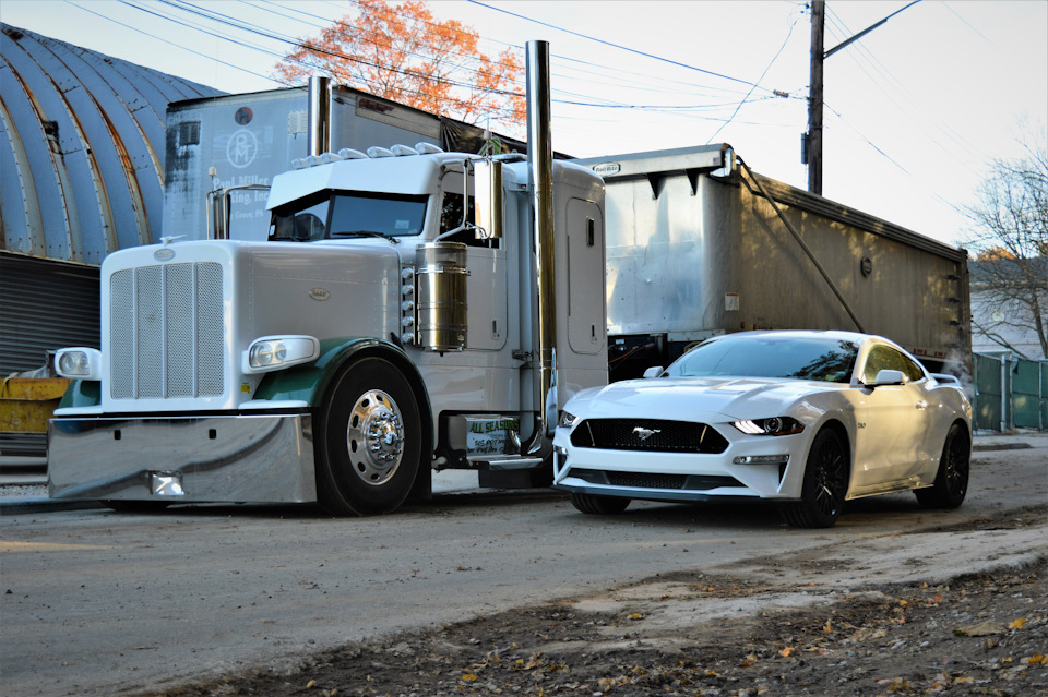 Peterbilt & Mustang — Ford Mustang (6G), 5 л, 2018 года | фотография ...