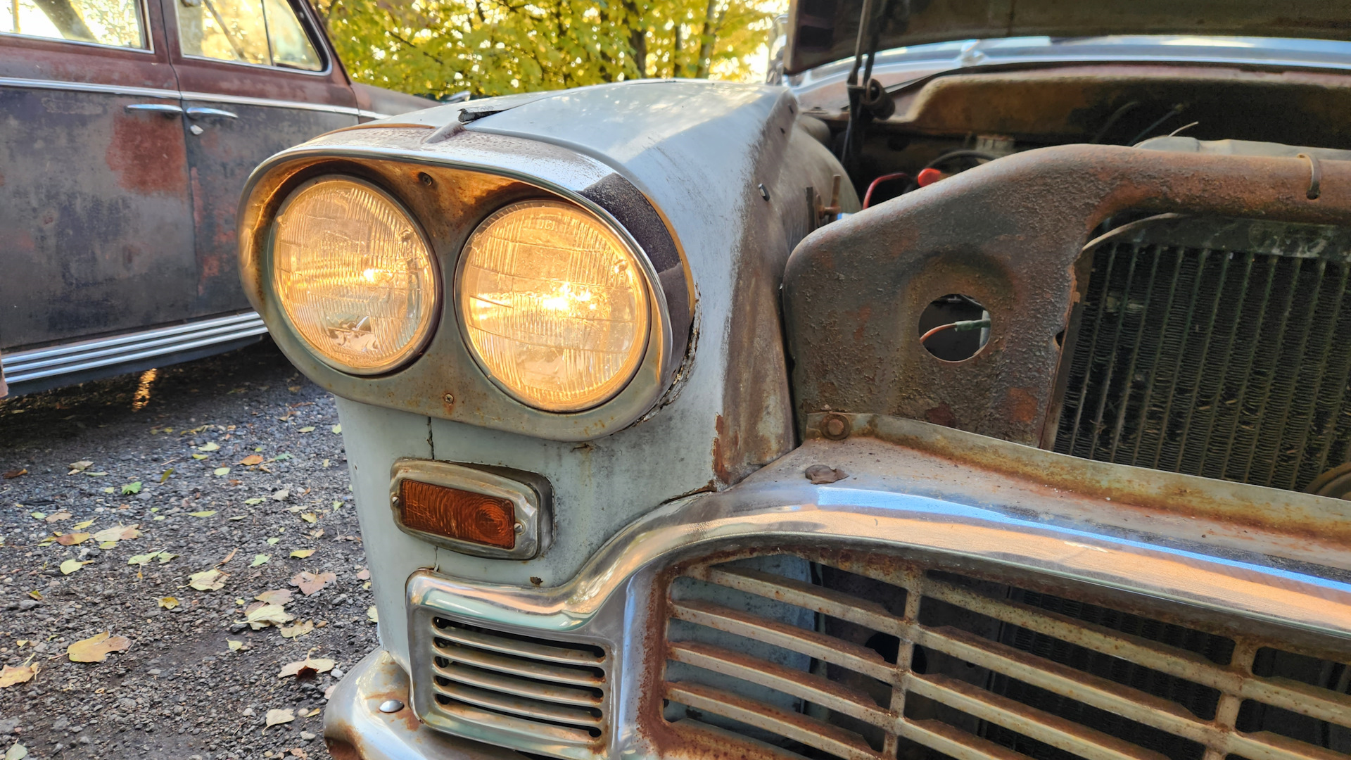 Checker Superba (Marathon) | на DRIVE2