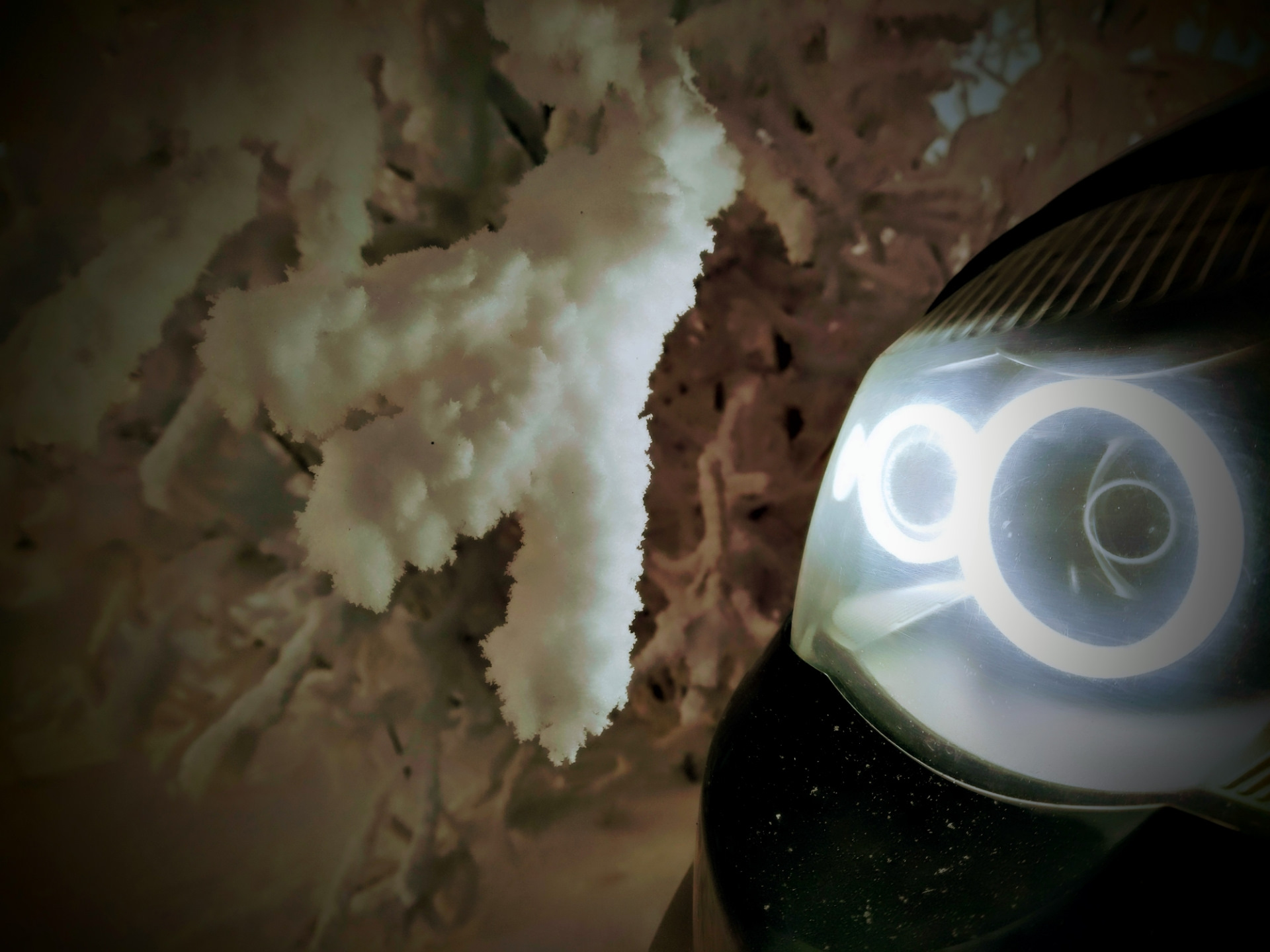 Фотография «Dark Said в чёрно-белом!»