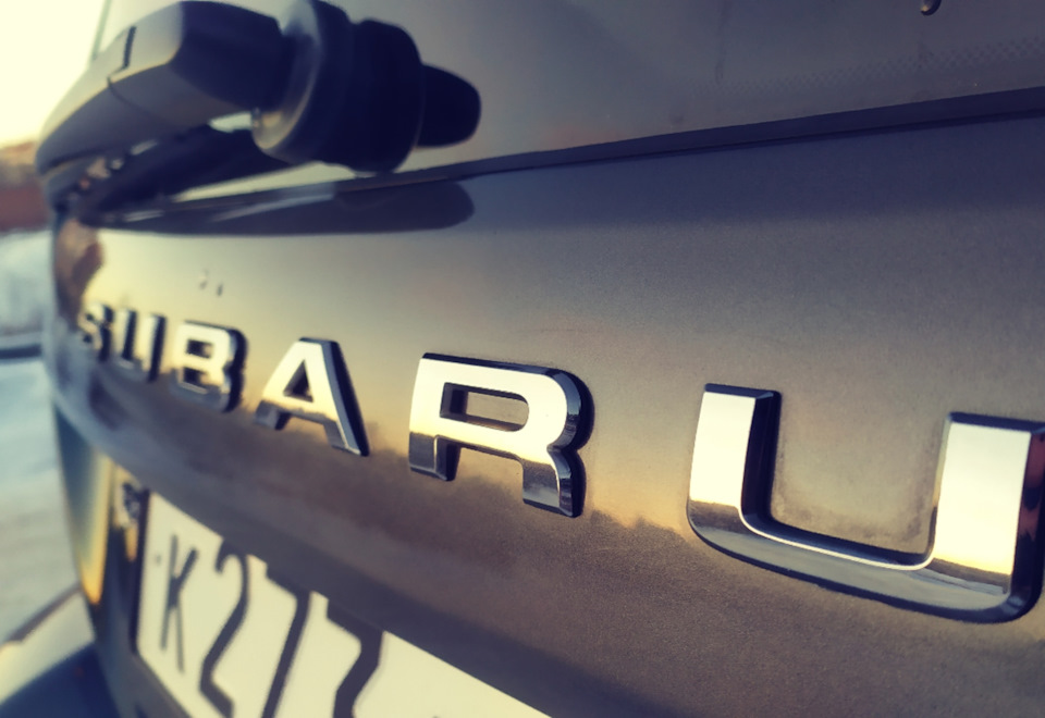 Просто фото)🐸 FROG in the forest) — Subaru Forester (SG), 2 л, 2003 ...