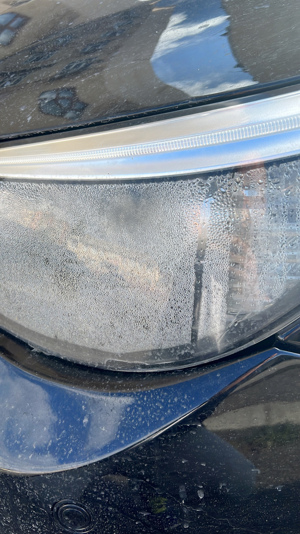 Крышки фар — BMW 5 series (E60), 3 л, 2006 года | наблюдение | DRIVE2