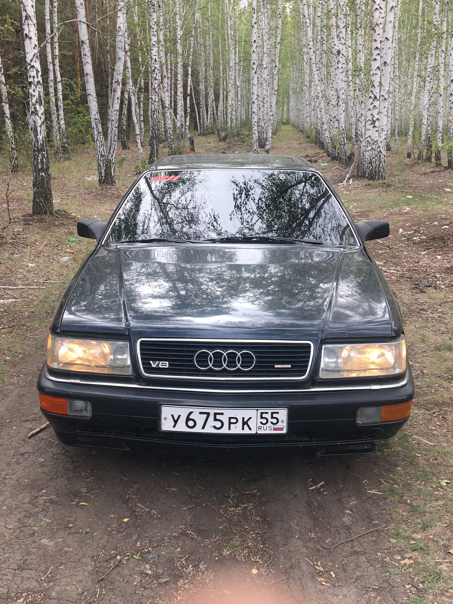 7 лет вместе c V🎱♾ ️💫 — Audi V8, 3,6 л, 1989 года | просто так | DRIVE2