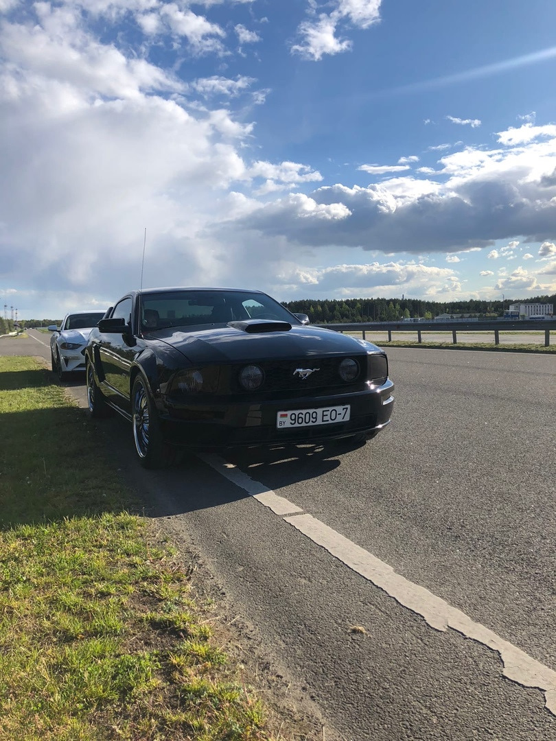 заезды 4.6 GT, M3 e46, 2.3 Ecoboost, видео. — Ford Mustang (5G), 4,6 л ...