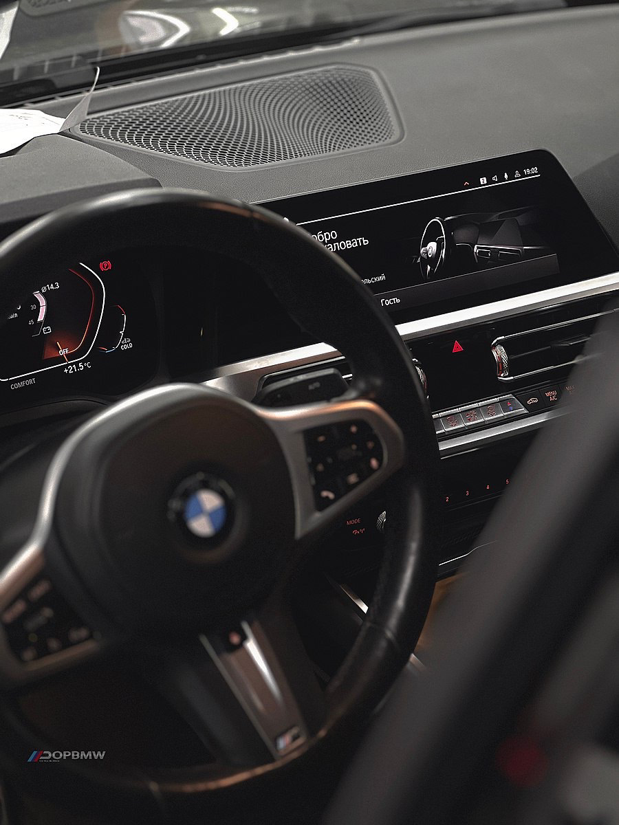 MGU и Live Cockpit Professional — DopBMW на DRIVE2