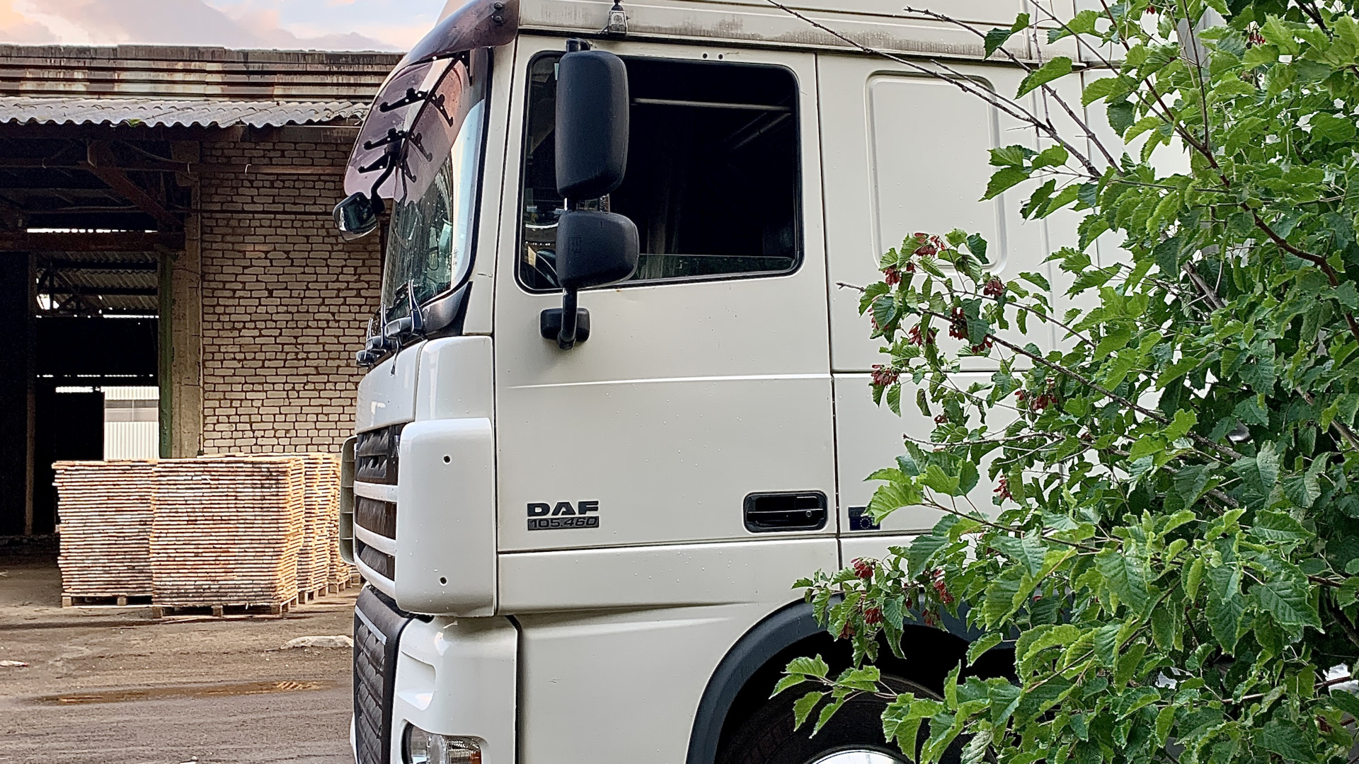 Daf xf105 Шрэк | Шрэк на DRIVE2