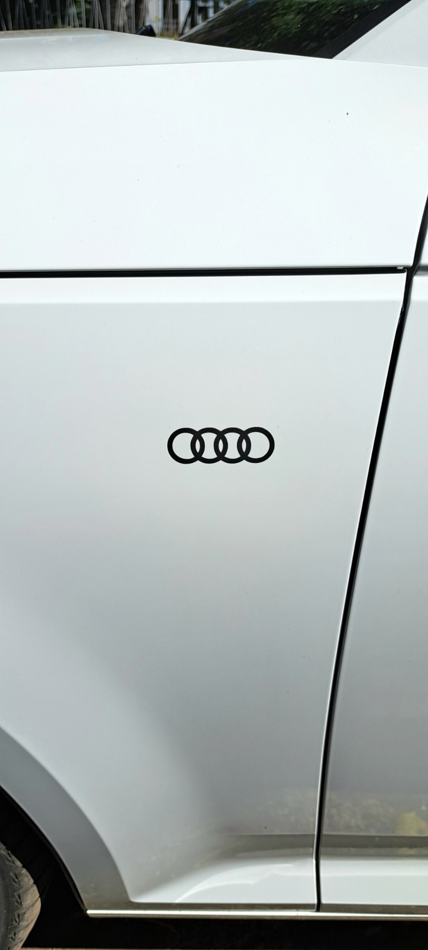 Наклейка "4 кольца" — Audi A4 Avant (B9), 2 л, 2019 года | стайлинг ...