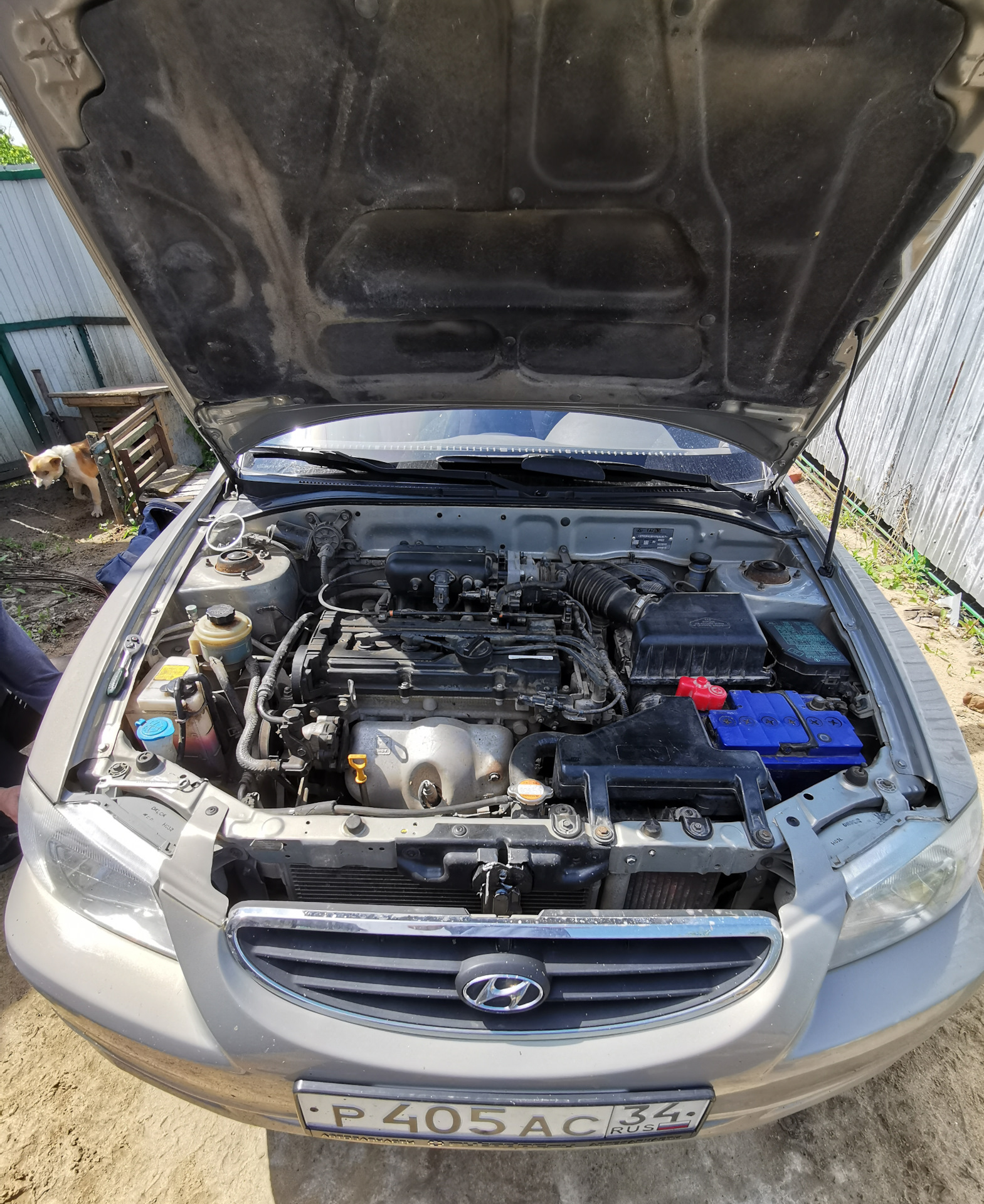 Замена цепи распредвалов — Hyundai Accent (2G), 1,5 л, 2010 года ...