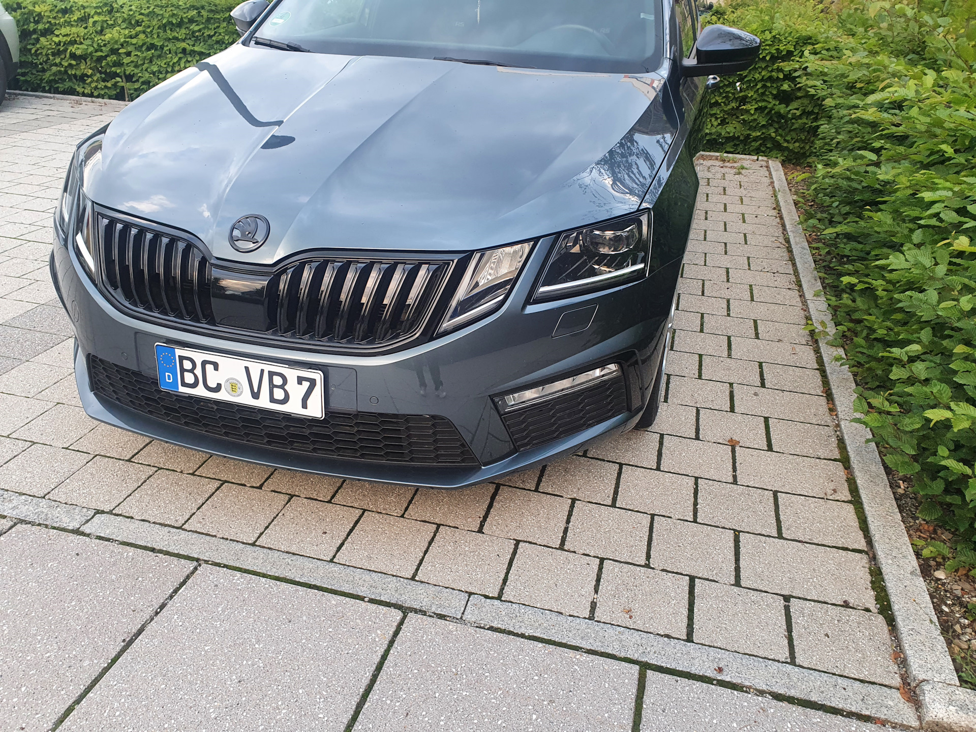 Чёрная глянцевая решётка и газовые опоры — Skoda Octavia Rs A7 Mk3 2 л