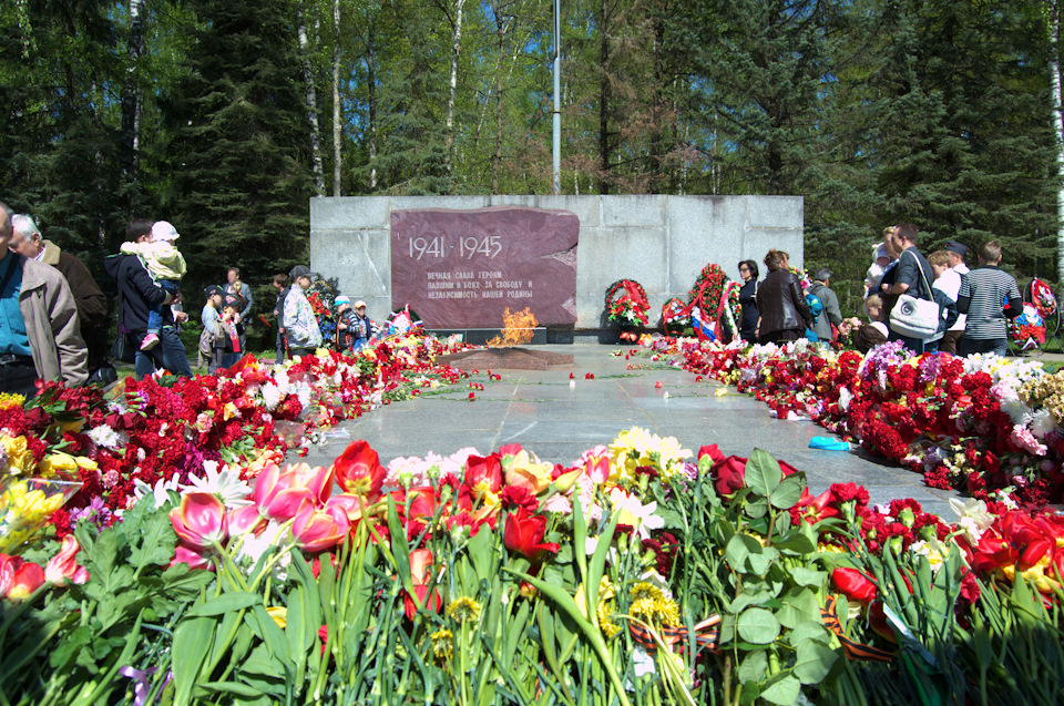 16175JG35A Прокладка дроссельной заслонки NISSAN INFINITI | Запчасти на ...