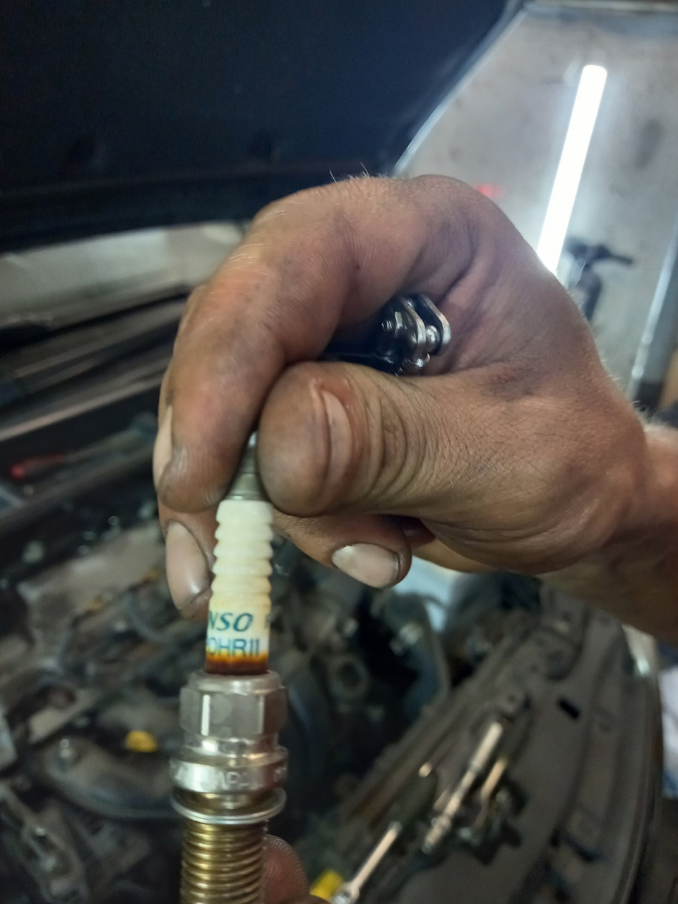 Наконец то обслужил авто перед зимой — Toyota Wish (AE20), 1,8 л, 2010 ...