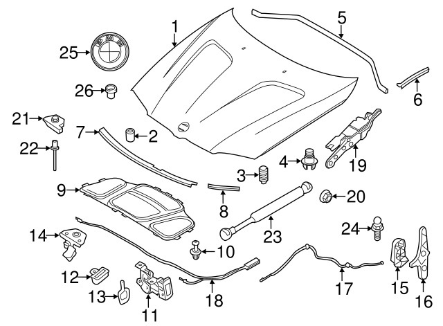 51237210727 Газонаполненный амортизатор BMW | Запчасти на DRIVE2