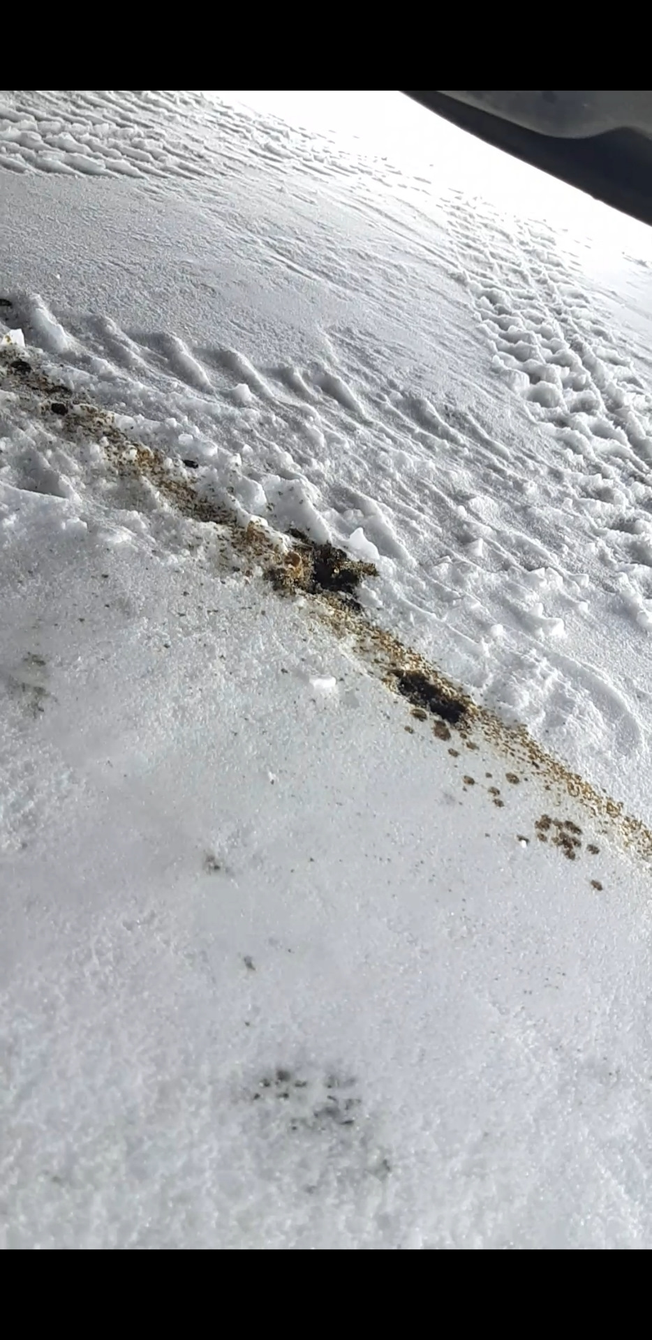 Мелкие неприятности — Toyota Corolla Fielder (E120), 1,8 л, 2005 года ...