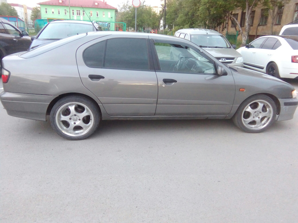 Кому? — Nissan Primera (P11), 2 л, 1997 года | колёсные диски | DRIVE2
