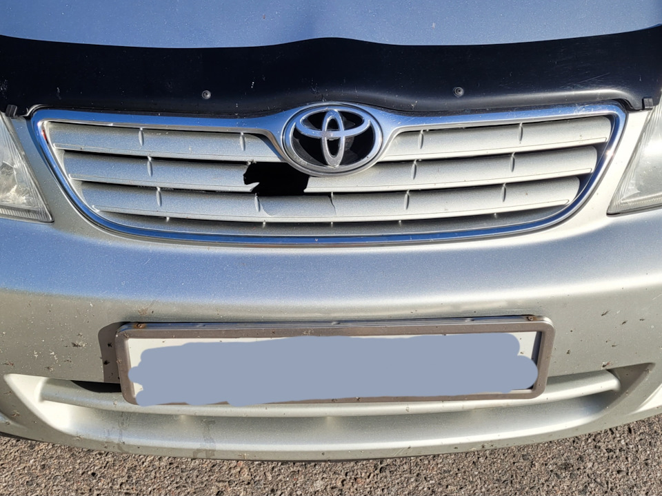 Решетка радиатора — Toyota Corolla (120), 1,4 л, 2006 года | запчасти ...