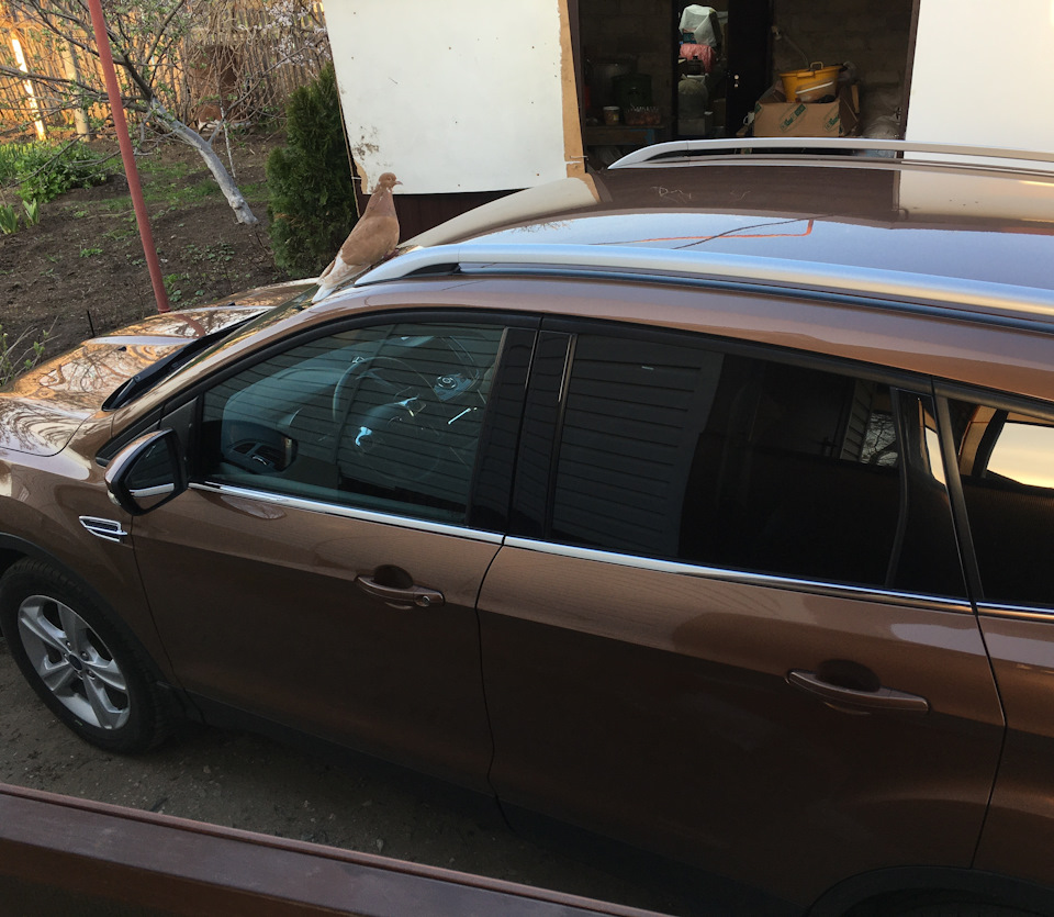 Замена турбины + удаление ЕГР — Mercedes-Benz E-class (W210), 2,7 л ...