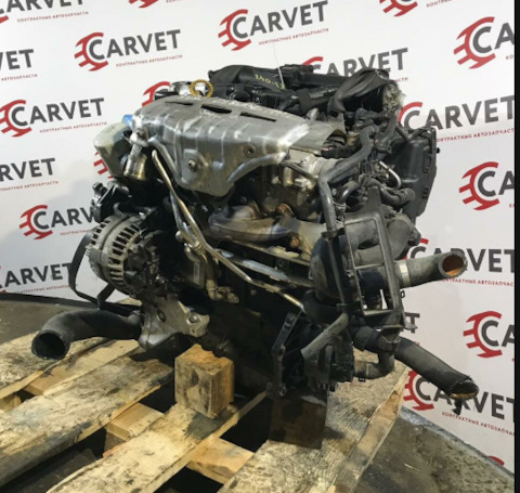 Carvet: отзывы, цены, фото