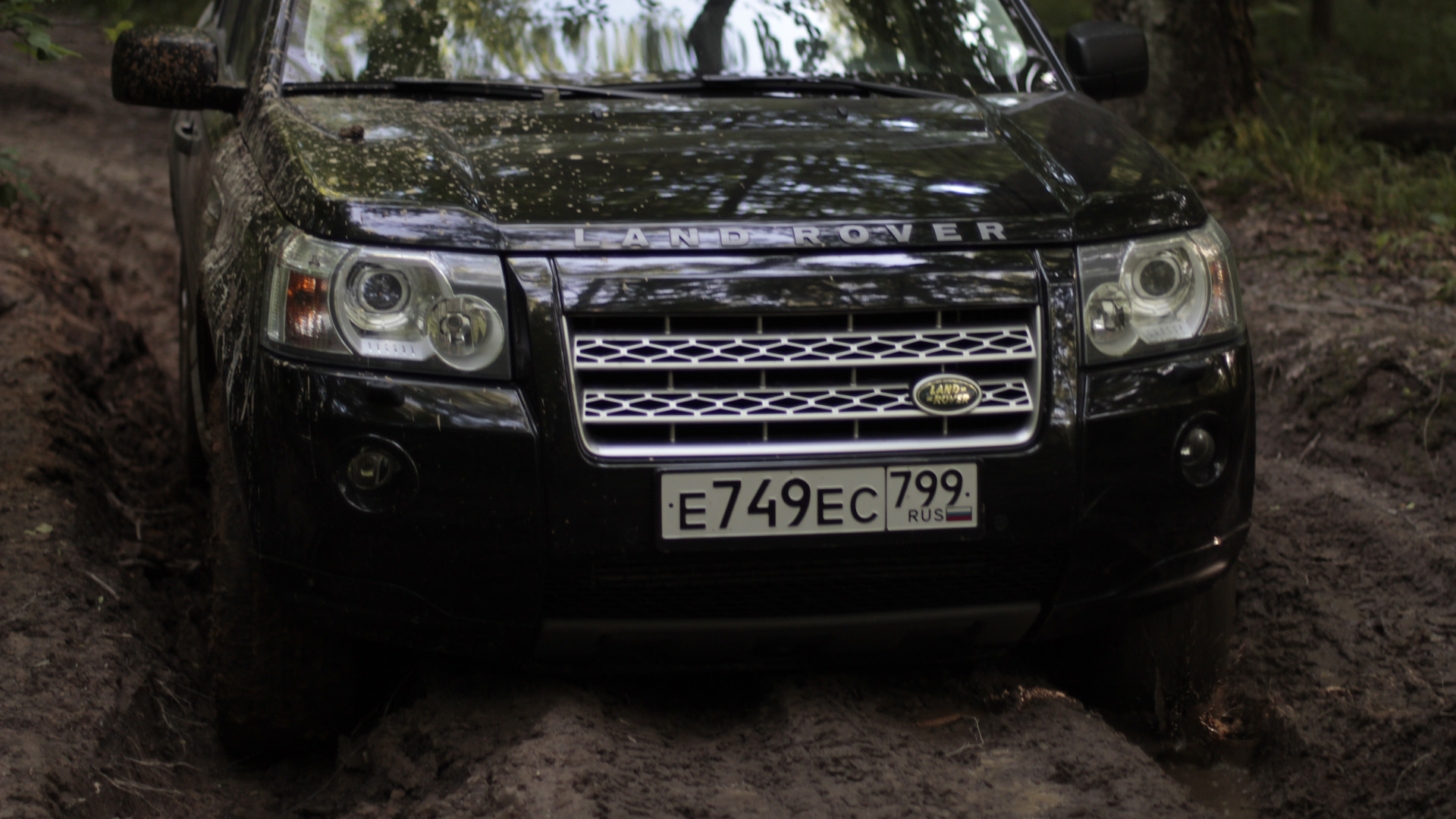 Girl + Subaru — Сообщество «Girls & Cars» на DRIVE2