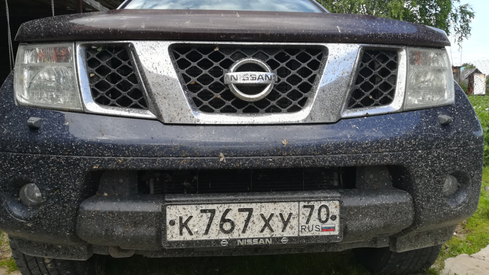 Оил — Nissan Pathfinder (3G), 2,5 л, 2006 года | плановое ТО | DRIVE2