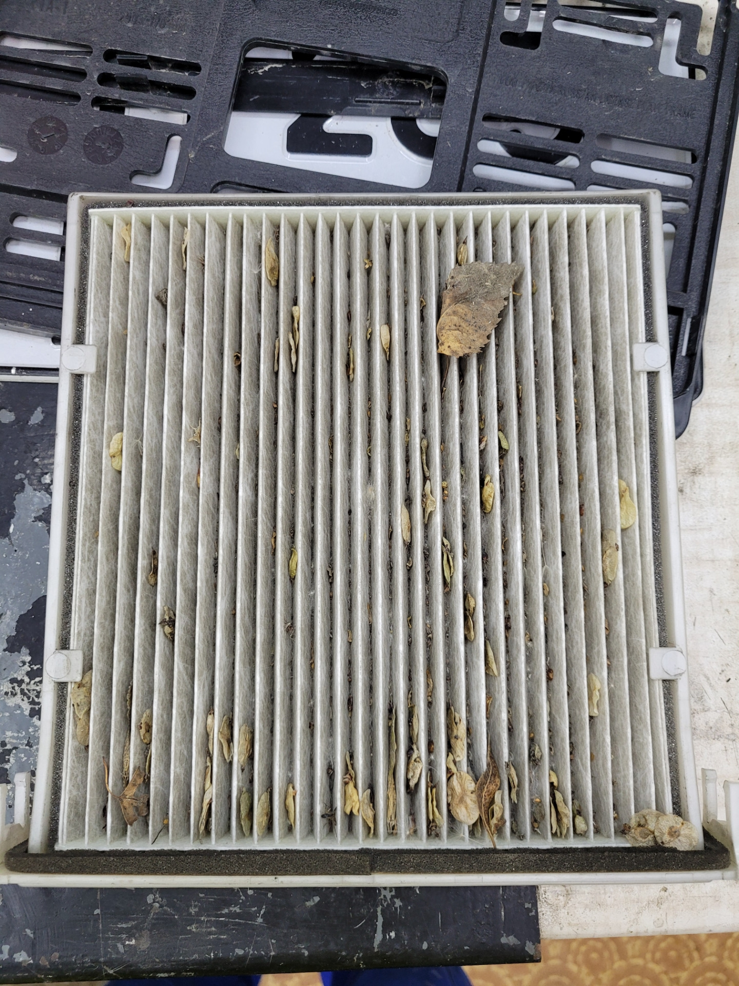 Очередное ТО. — Toyota Corolla Spacio (E121), 1,5 л, 2003 года ...